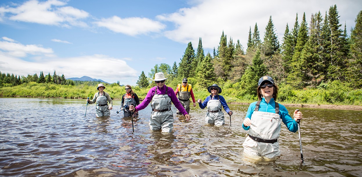 Adirondack Riverwalking & Forest Bathing | Saranac Lake, Adirondacks ...
