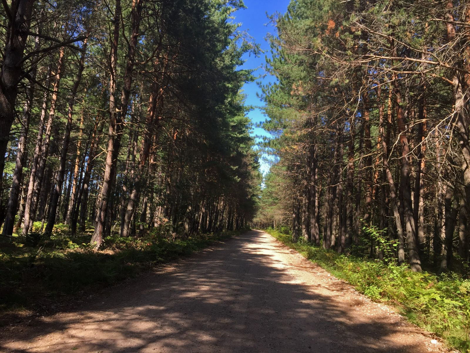 Azure Mountain | Saranac Lake, Adirondacks, New York