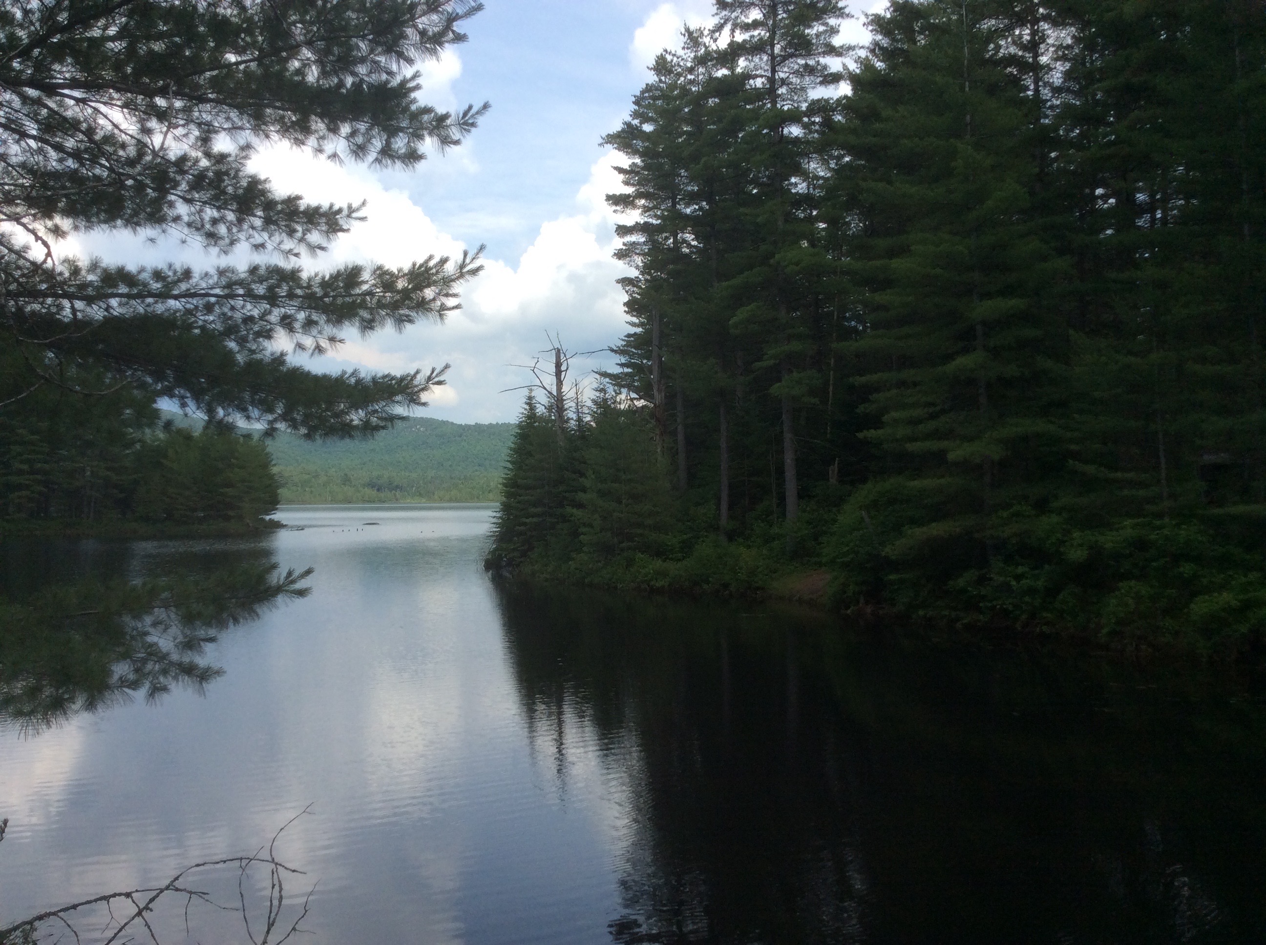 Buck Pond State Campground | Saranac Lake, Adirondacks, New York