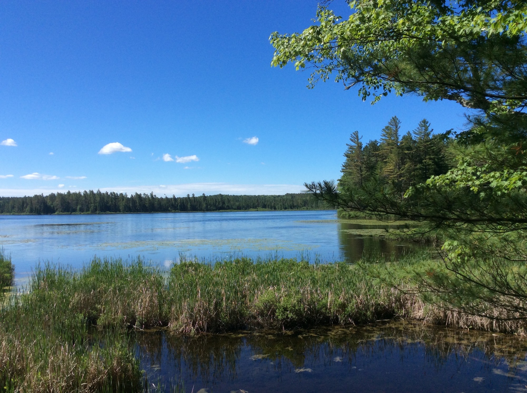 Jones Pond | Saranac Lake, Adirondacks, New York